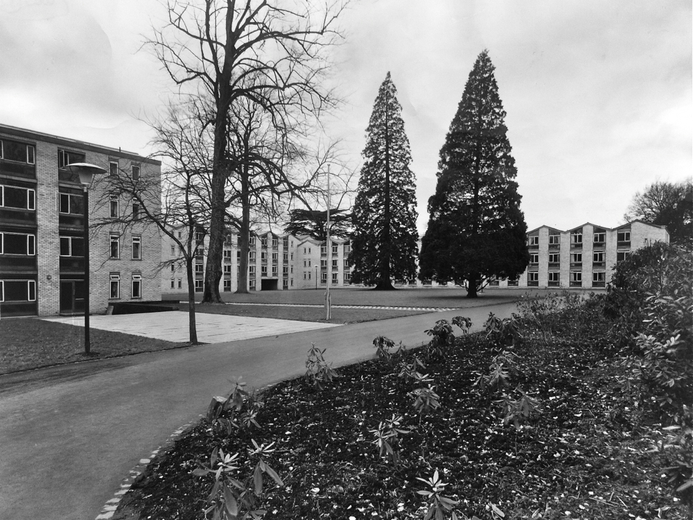 The Runnymede Campus Archive » History